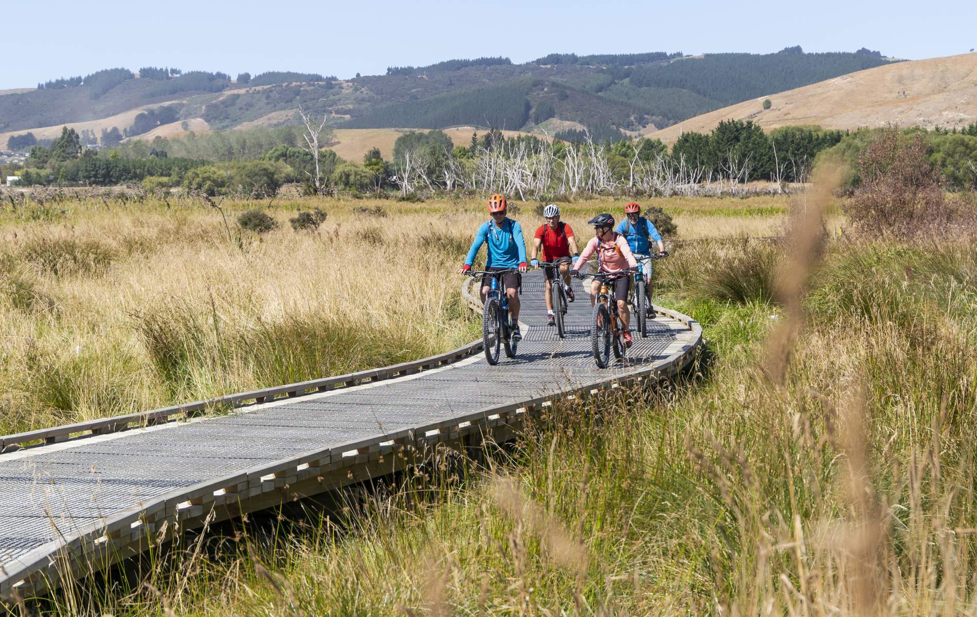 Your Guide to Exploring the Best Otago Cycle and Walking Trails | Otago ...